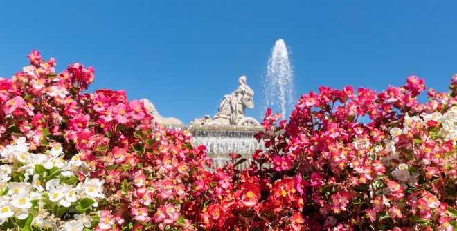 What to do in Madrid in spring | Tourism Madrid