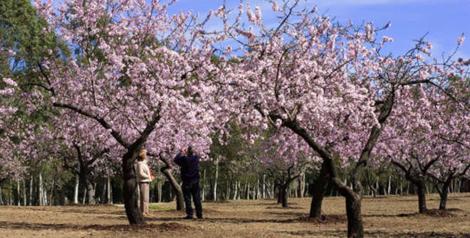 Cosas qué hacer en marzo en Madrid | Turismo Madrid